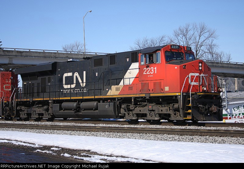 CN 2231